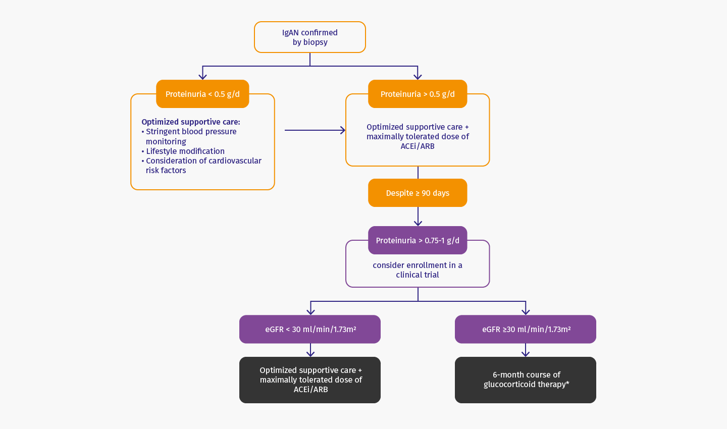IgA Nephropathy Treatment Options STADA